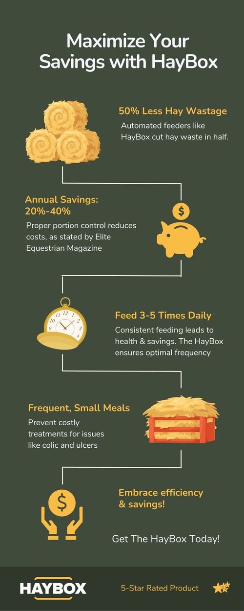 Calculate Hay Savings - Shop HayBox Automatic Feeders - AUTOMATIC HORSE FEEDERS